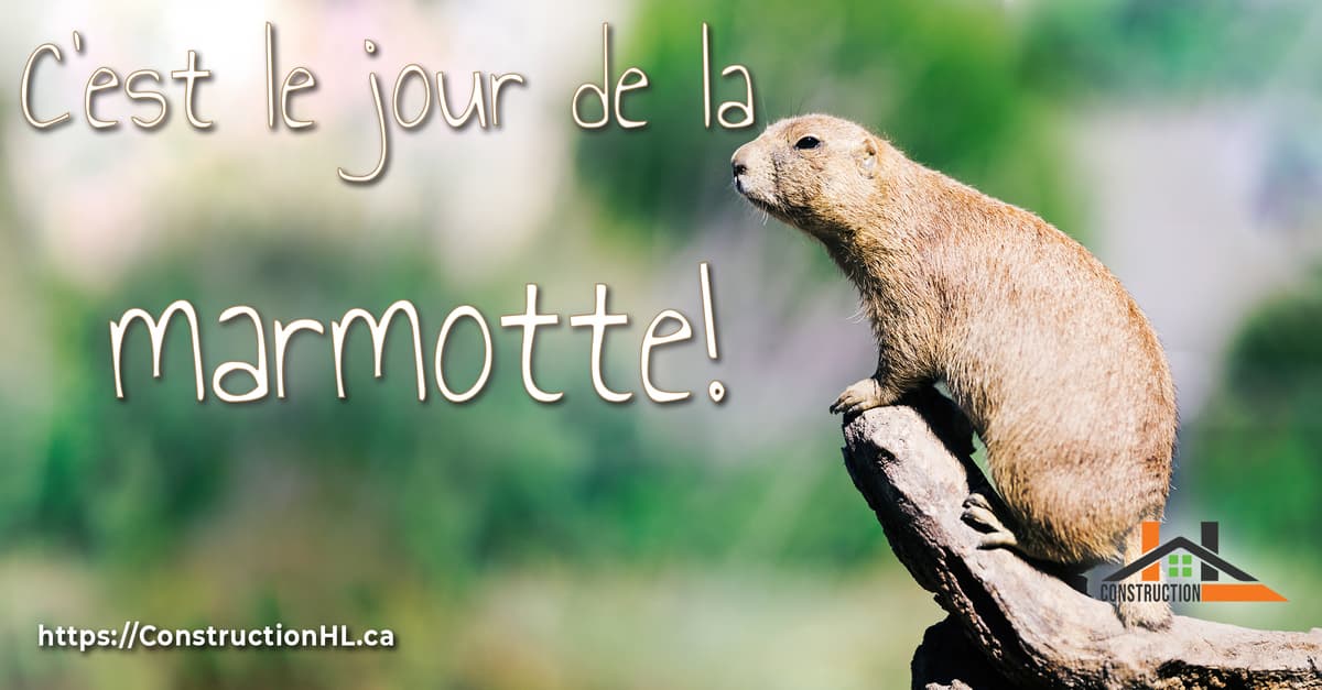 Aujourd'hui, c'est le jour de la marmotte!